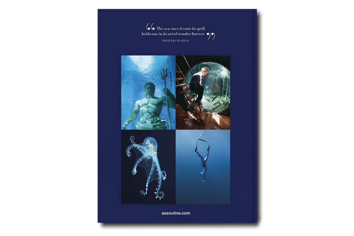 ASSOULINE Ocean Wanderlust – Wynn at Home